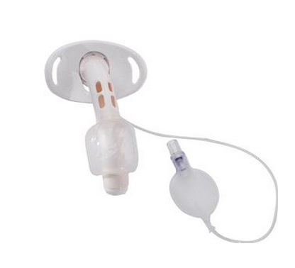 Disposable Fenestrated Tube Set (DFEN)