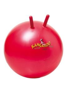 Exercise Balls | Gym & Yoga Balls | Vitality Medical