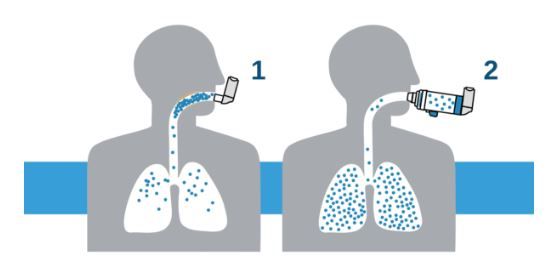 Monaghan Aerochamber Plus Z Stat Valved Holding Chamber | Vitality Medical