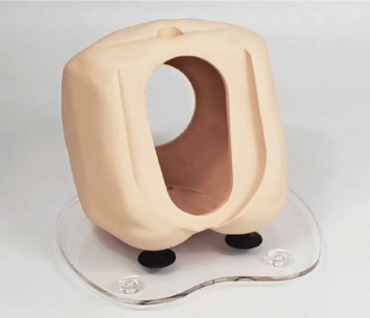 Nasco Life/form Male/Female Catheterization Simulator & Replacement ...