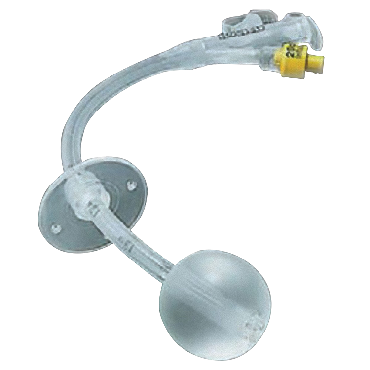 gastrostomy button replacement