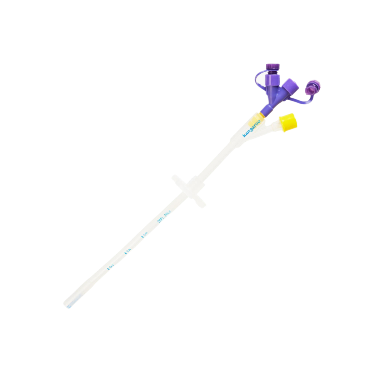 kangaroo connections