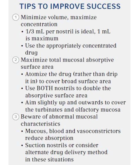 LMA MAD Nasal Intranasal Mucosal Atomization Device with Syringe