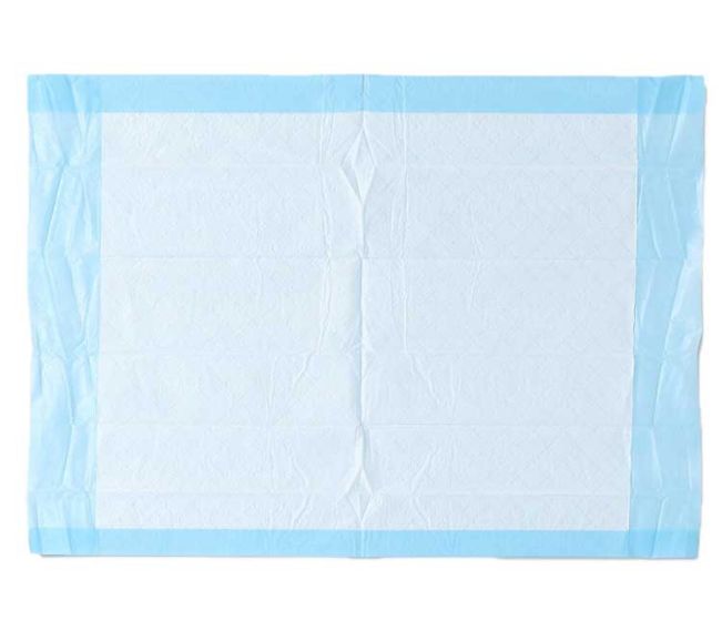 Medline Economy Protection Plus Underpads, Light Absorbency - Furniture ...