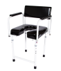 ActiveAid 202 Rehab Shower/Commode Chair-Bath/Toilet Modular System ...
