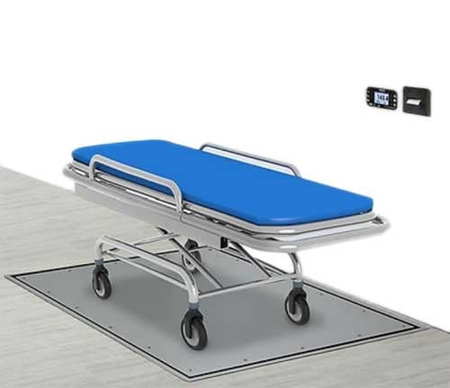 Solace In-Floor Dialysis Scale by Detecto