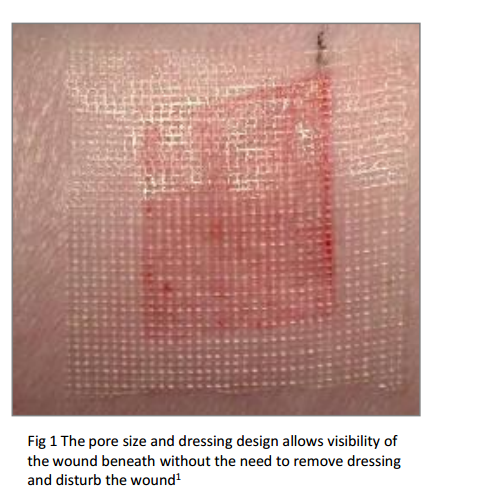 ADAPTIC Touch Silicone 3 x 4-Inch Non-Adherent Dressing | 500502