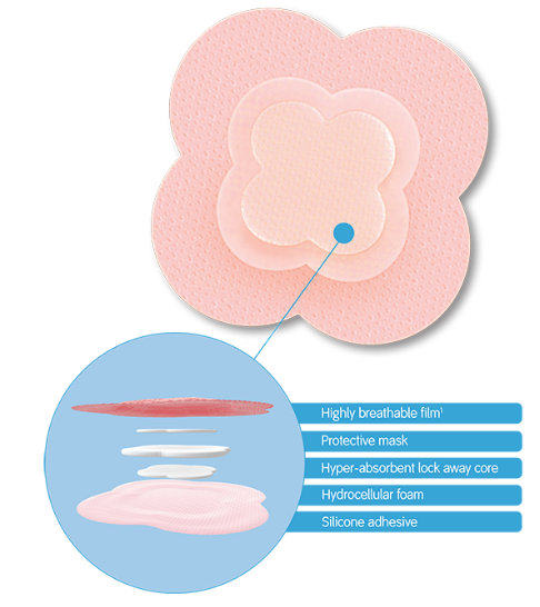 Smith & Nephew ALLEVYN Life Foam Dressings | Standard, Heel & Sacrum