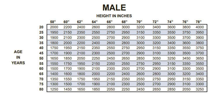 Voldyne 5000 Volumetric Exerciser Incentive Spirometer | Vitality Medical